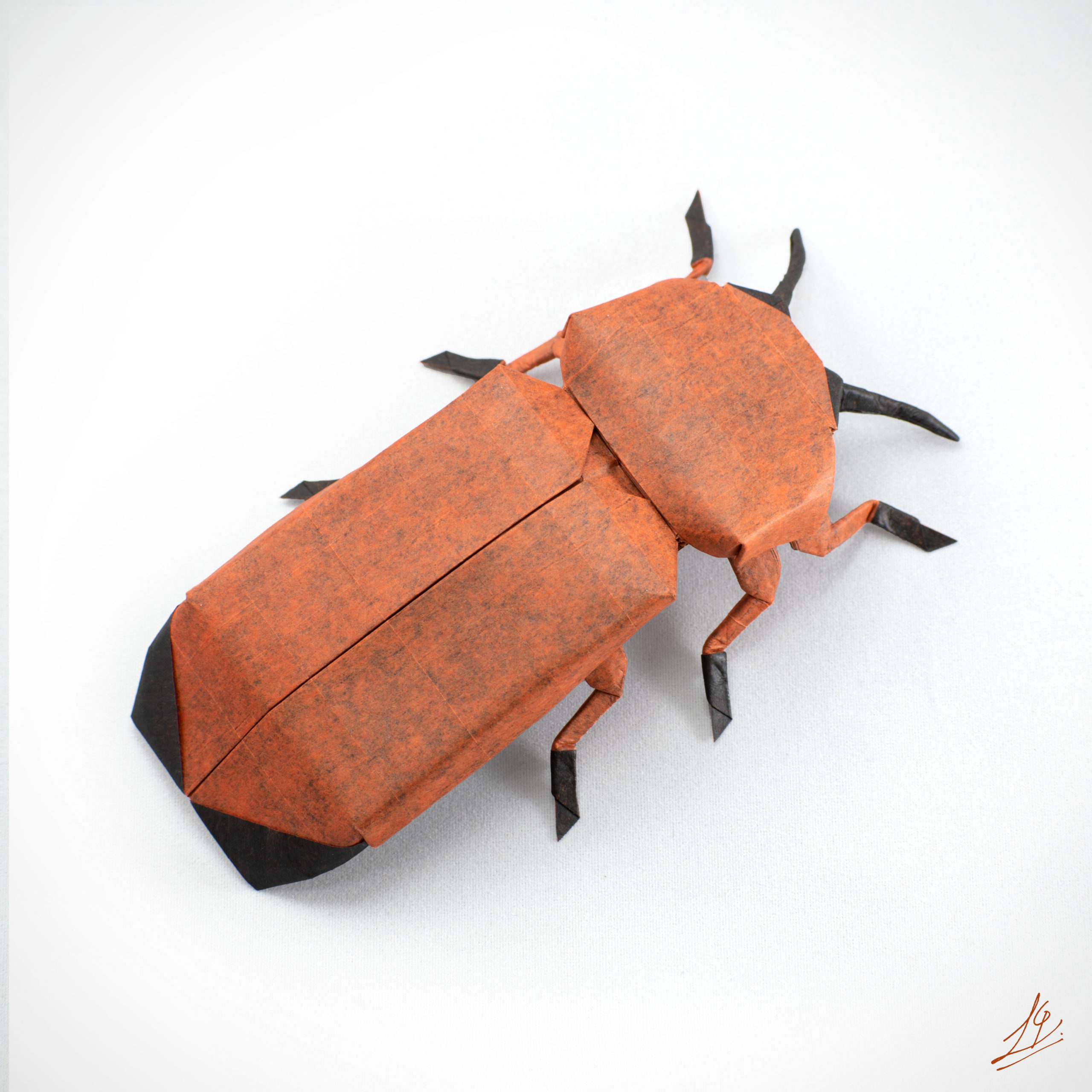 Unfolding origami artist Nicholas Low’s creative flair - BASKL